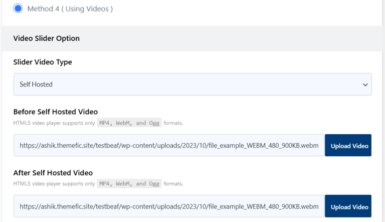 Introducing A Brand New Option Panel - Themefic
