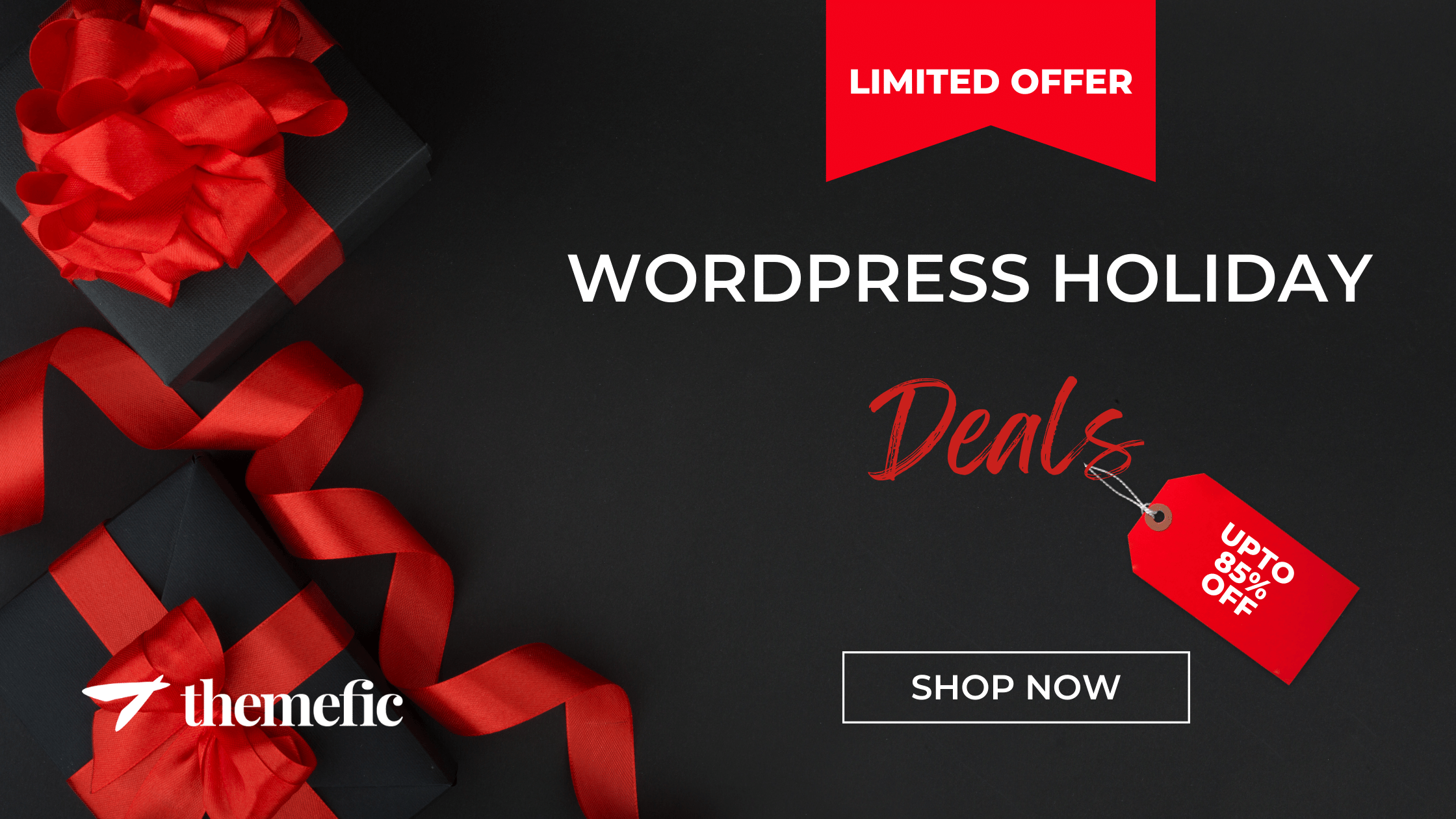 Best WordPress Holiday Deals 2023-2024 - Themefic